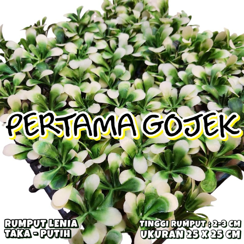 Jual RUMPUT LENIA TAKA UKURAN 25x25 CM/ Rumput Artificial/ Hiasan ...
