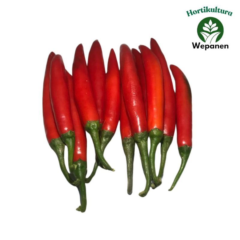 Jual Kirim Instant Cabe Merah Besar 1kg | Shopee Indonesia