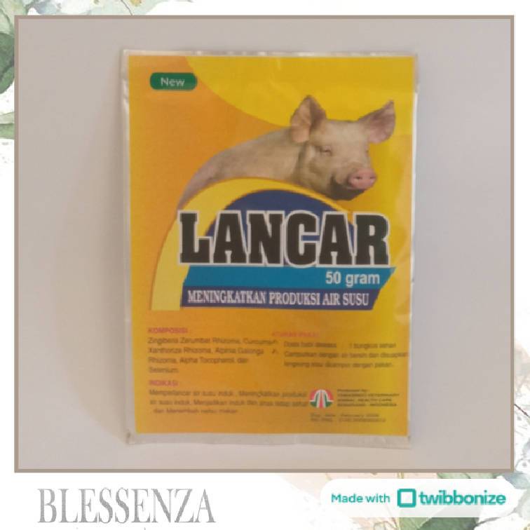 Jual LANCAR BABI PIG POWDER 50GR - JAMU LANCAR ASI BABI MENINGKATKAN ...