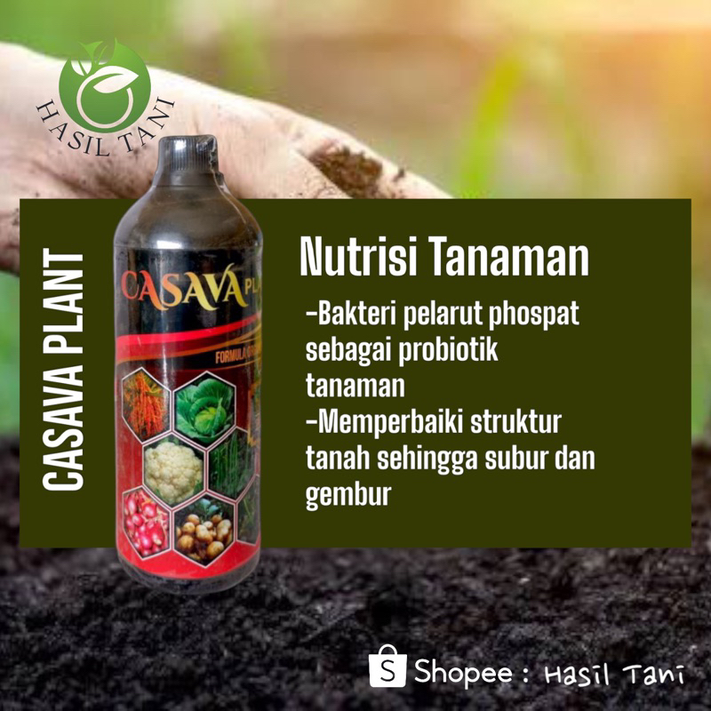 Jual CASAVA PLANT 1 L (Pupuk Organik Cair) | Shopee Indonesia