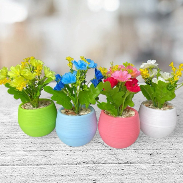 Jual 4 PAKET BUNGA ASTER DAISY POT WARNA WARNI BULAT | Shopee Indonesia