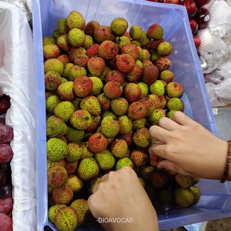 Jual buah leci harga per 500gr | Shopee Indonesia