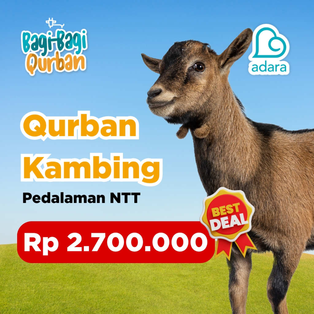 Jual Qurban Kambing dan Sapi Pedalaman Indonesia NTT - Adara Relief International | Shopee Indonesia