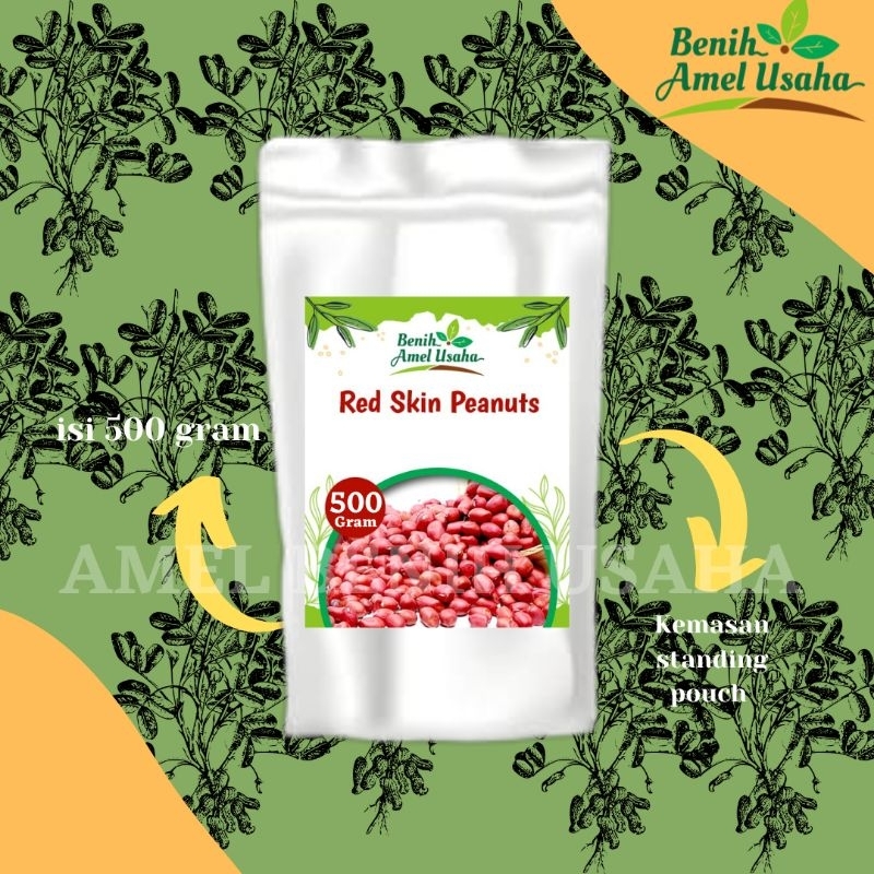 Jual benih kacang tanah merah 500 gram / kacang tanah kulit merah ½ kg ...