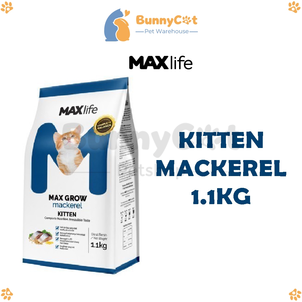 Jual MAXLIFE DRY Cat Food KITTEN MACKEREL 1 Kg - Makanan Kucing Max ...