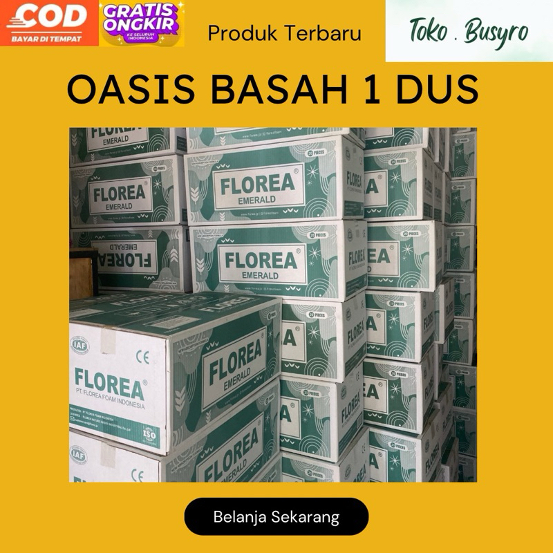 Jual FOAM BASAH 1 DUS FLOREA | OASIS (tahan air lebih lama) SAVANA ...