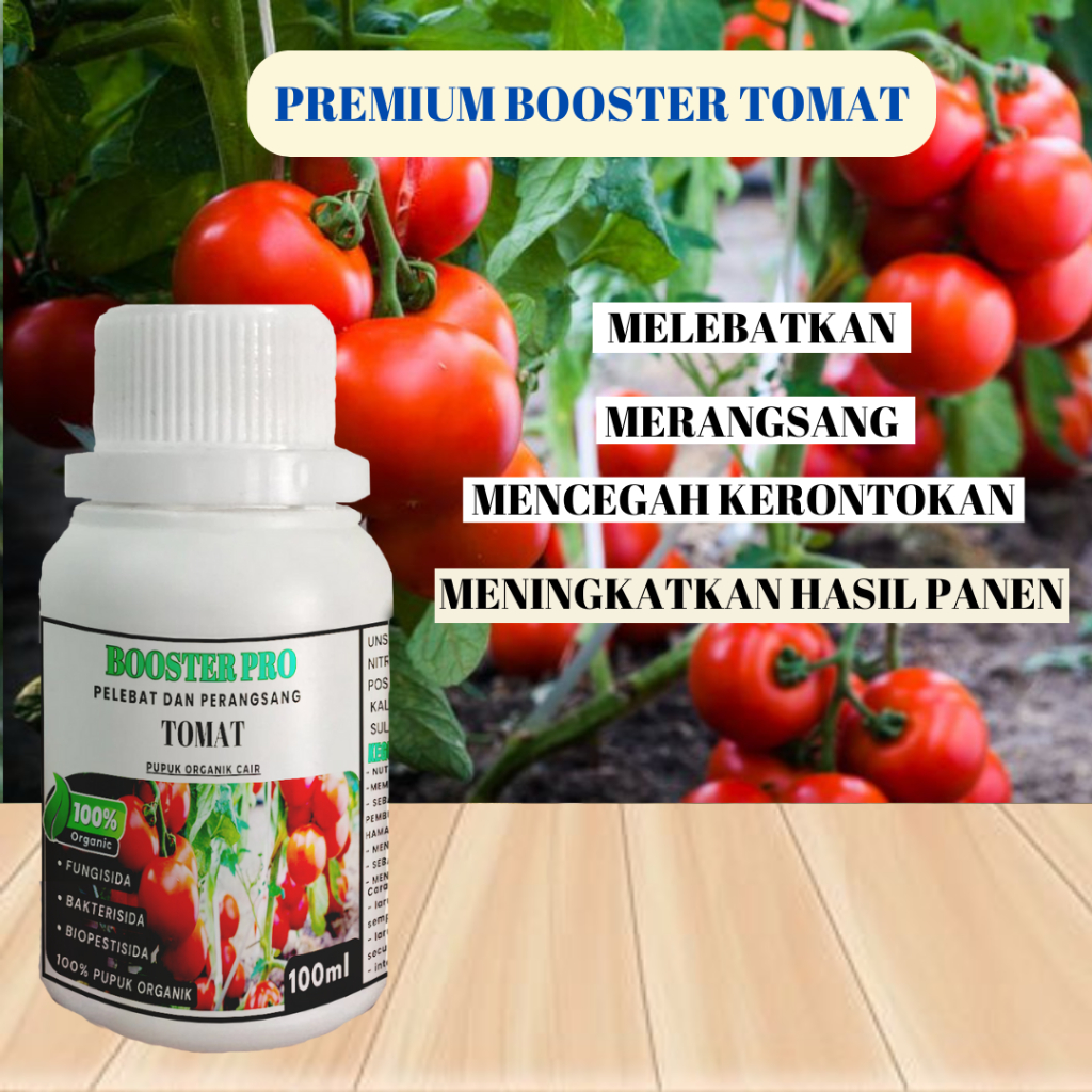 Jual Pupuk Booster pro TOMAT 100ml Pelebat Buah Perangsang Terbaik Semprot dan Siram | Shopee ...
