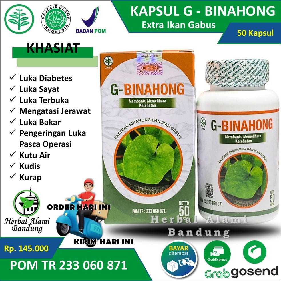 Jual Kapsul G-BINAHONG Ekstrak Daun Binahong Plus Ikan Gabus Obat Pasca Operasi Cepat Atasi Luka ...
