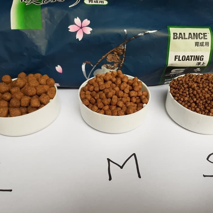 Jual Saki Hikari Balance S M L 100gr | Shopee Indonesia