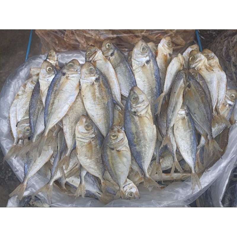 Jual Ikan Asin Selar pulau Belitung Asli | Shopee Indonesia