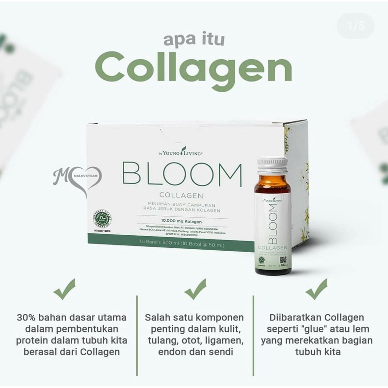 Jual Bloom Collagen Young Living | Shopee Indonesia