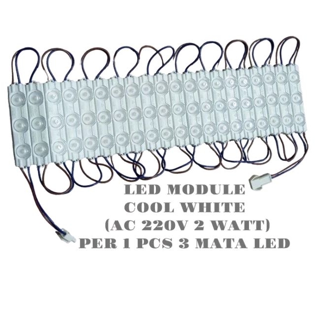 Jual LED Modul AC 220V 2 Watt Cahaya Putih Waterproof (PER 1 PCS ...