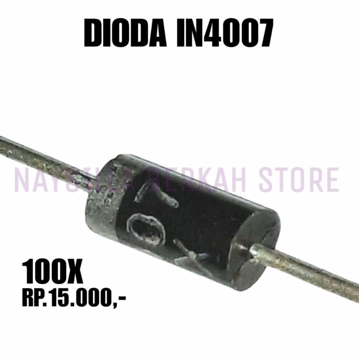 Jual 100X DIODA IN4007 1A 1000V - DIODA 1N4007 - DAPAT 100PCS | Shopee Indonesia