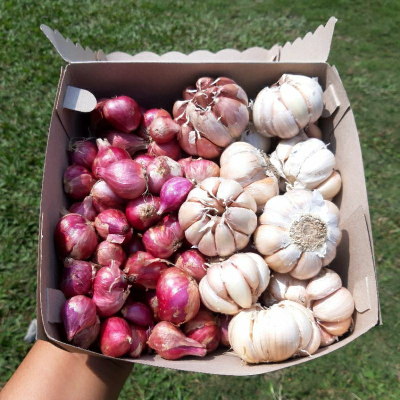 Jual PAKET BAMER BAPUT 1KG MURAH MERIAH/PAKET BAWANG MERAH BAWANG PUTIH MIX SUPER 1KG MURAH ...