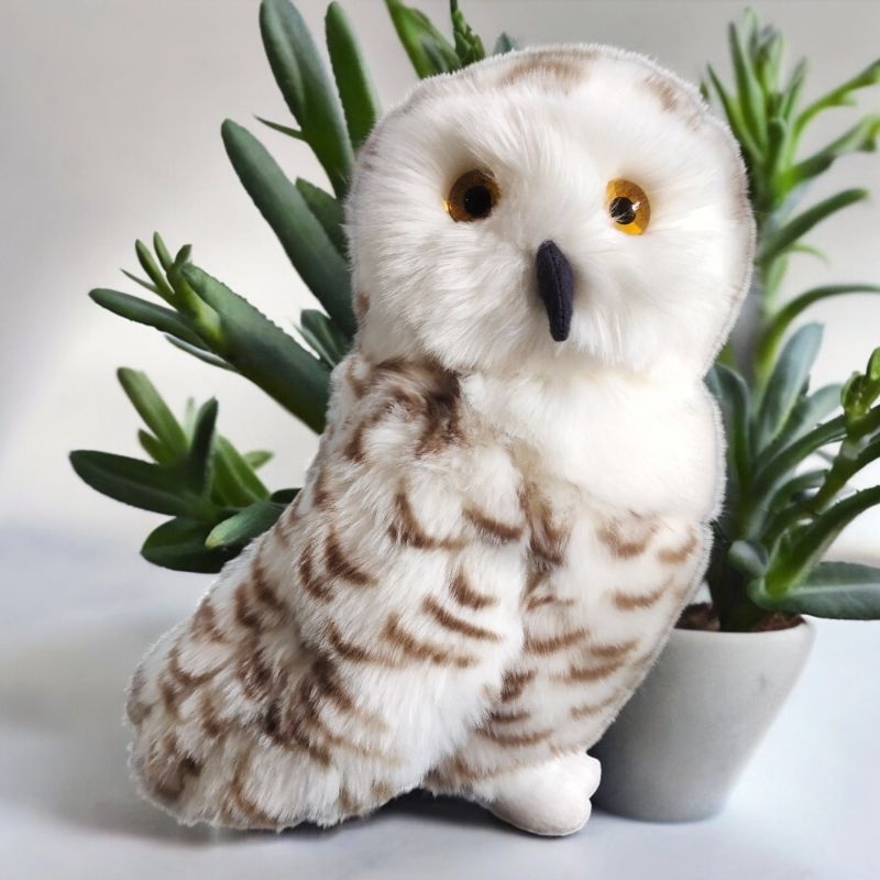Jual Boneka Burung Hantu Salju (Snowy Owl Cute) | Shopee Indonesia