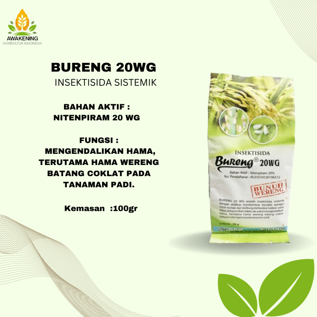 Jual BURENG 20WG 100GR INSEKTISIDA WERENG, KUTU DAUN, THRIPS, KUTU ...