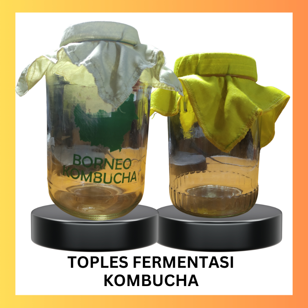 Jual TOPLES KACA FOOD GRADE UNTUK FERMENTASI KOMBUCHA VOLUME 2 DAN 3 L ...