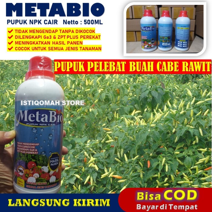 Jual Pupuk Pelebat Buah Cabe Rawit METABIO 500ML Pupuk Semprot NPK Cair Cabai Rawit Agar Berbuah ...