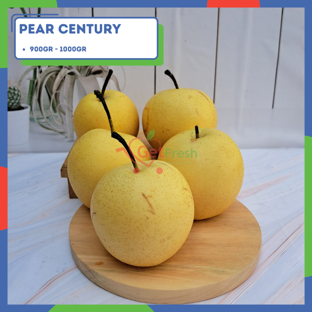 Jual Pear Century Pack 900gr - 1000gr | Shopee Indonesia
