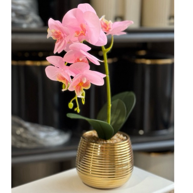 Jual Anggrek Gold Vase / Vas Bunga Orchid Flower Pink Putih Vas Keramik ...