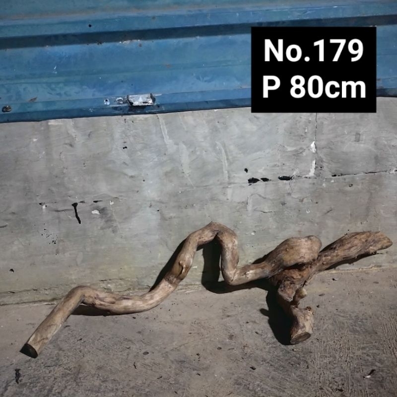 Jual akar santigi laut kayu santigi laut aquascape aquarium 179 ...