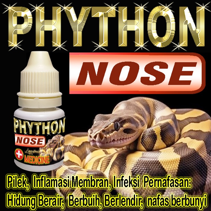 Jual PHYTON NOSE OBAT ULAR PITON PILEK MENGOBATI PENYAKIT INFEKSI PERNAPASAN ULER BALLPHYTON ...