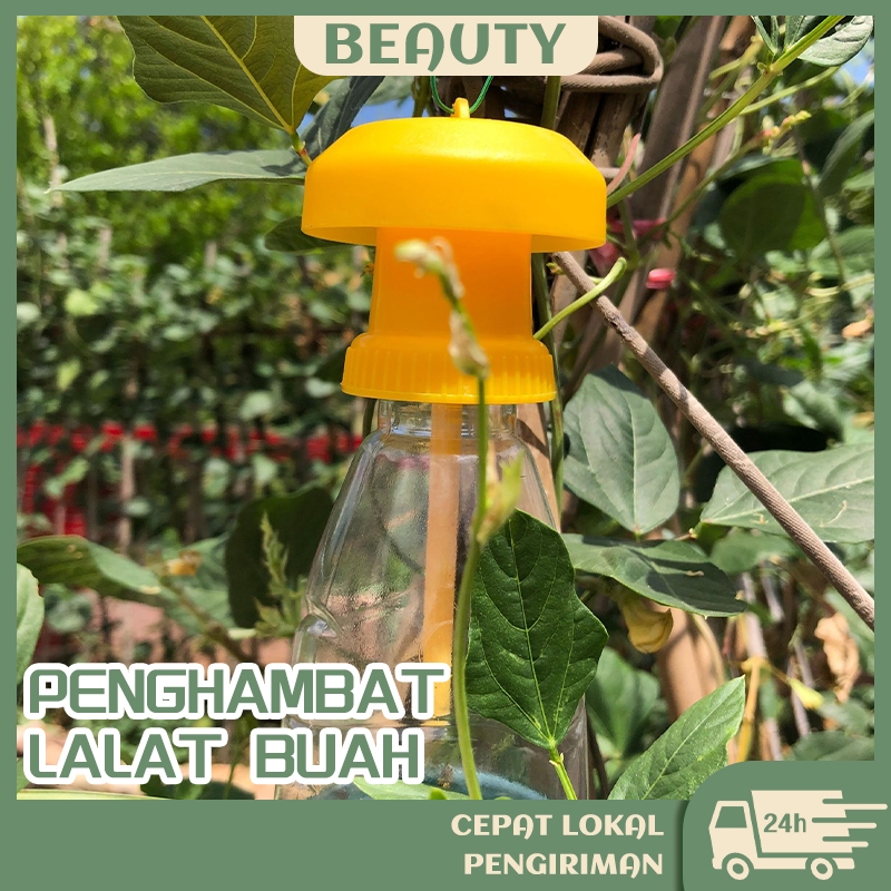 Jual Perangkap Lalat Buah Drosophila Bahan Plastik Warna Kuning 6x6x2CM ...