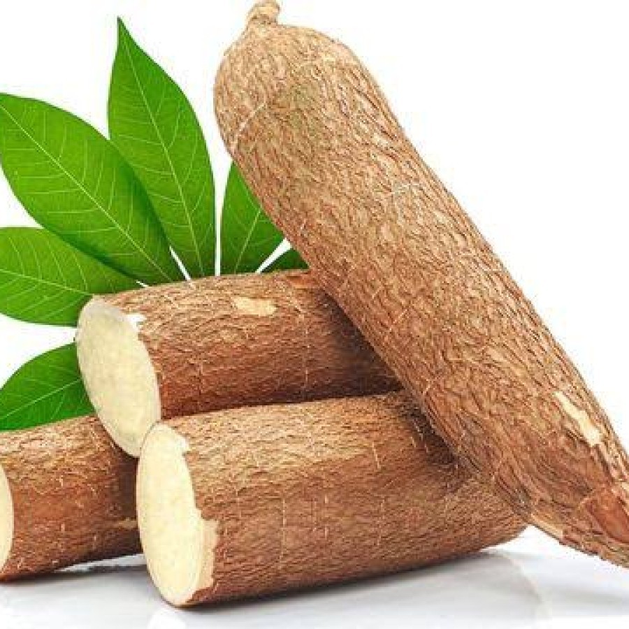 Jual Singkong mentah 1 Kg / singkong mentega / singkong kuning | Shopee ...