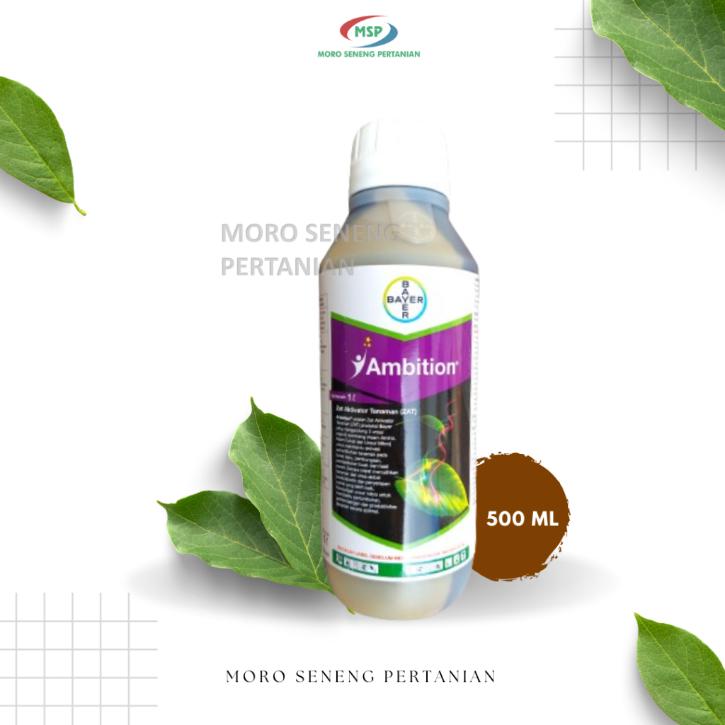 Jual AMBITION 500 ML | Shopee Indonesia