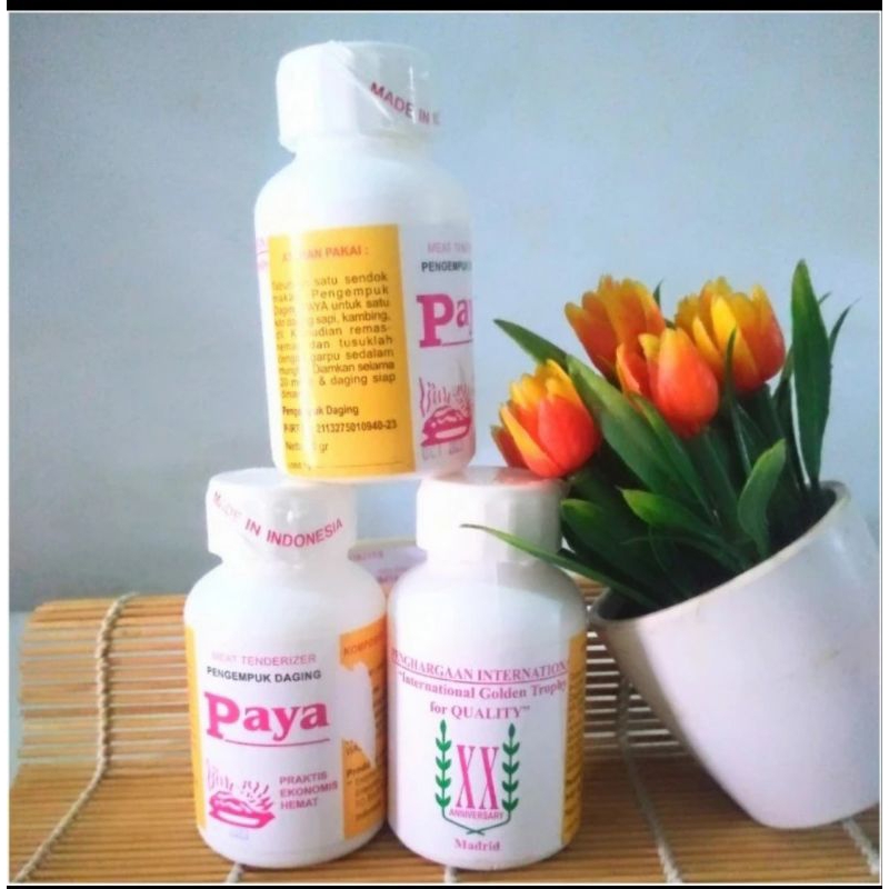 Jual Paya pengempuk daging 70 gr | Shopee Indonesia