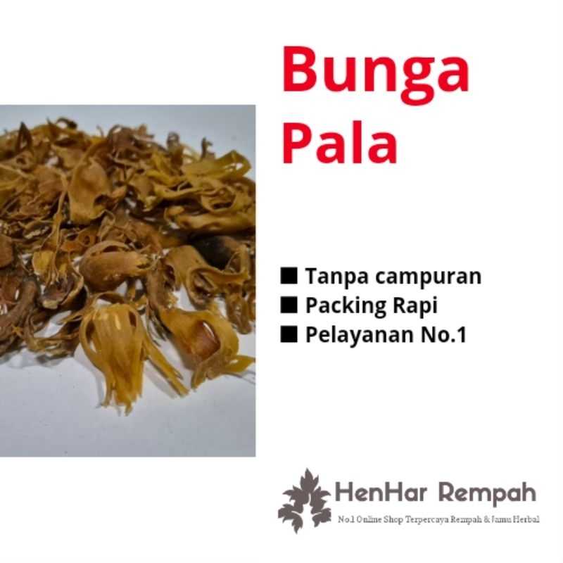 Jual Bunga Pala Kering 25 gr, 50 gr, 100 gr | Kembang Pala | Fuli ...