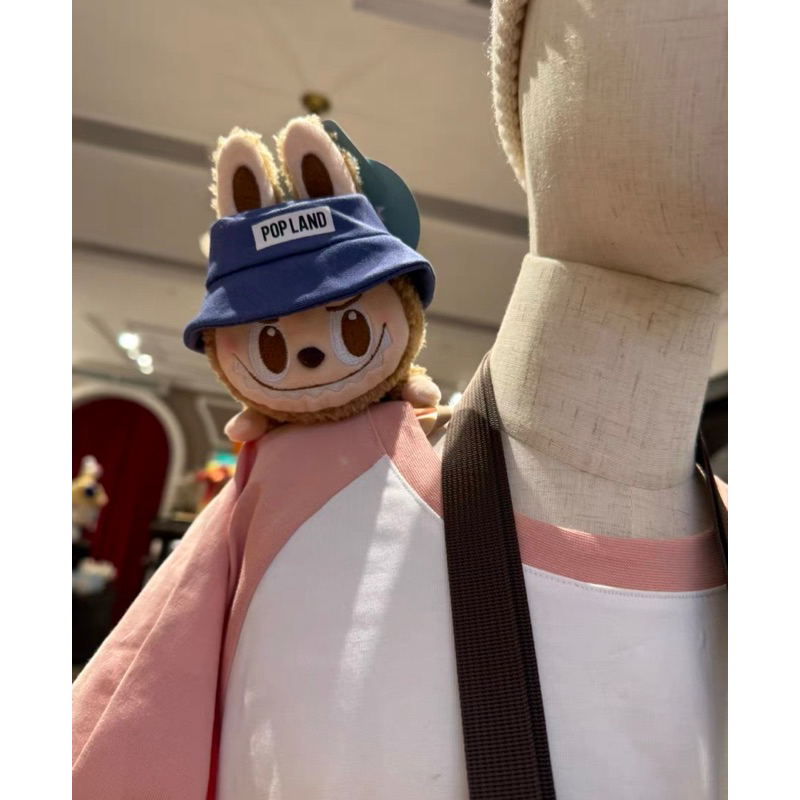 Jual LIMITED EDITION-LABUBU,DIMOO DOLL | Shopee Indonesia