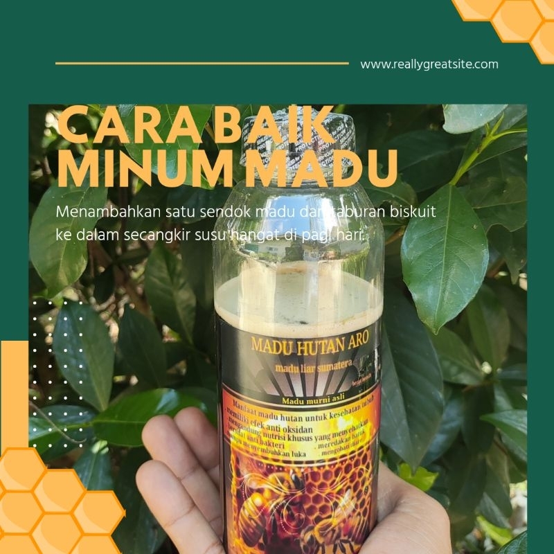 Jual madu hutan liar sumatera asli madu hutan pohon ARO 500 gram ...