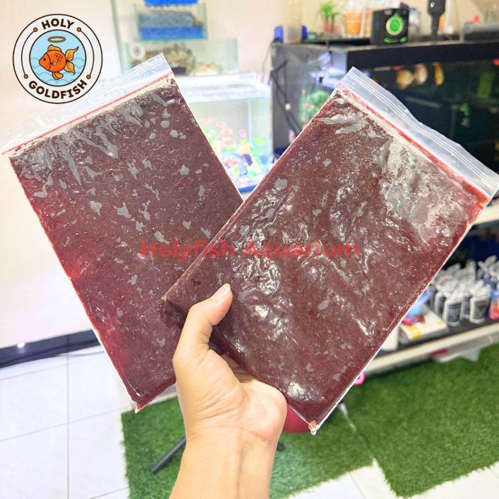 Jual Cacing Beku / Frozen Bloodworm / Makanan Ikan - 250gr - 500gr ...