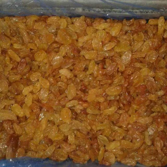 Jual Kismis arab / kismis anggur golden raisin Asam manis ukuran 1 kg ...