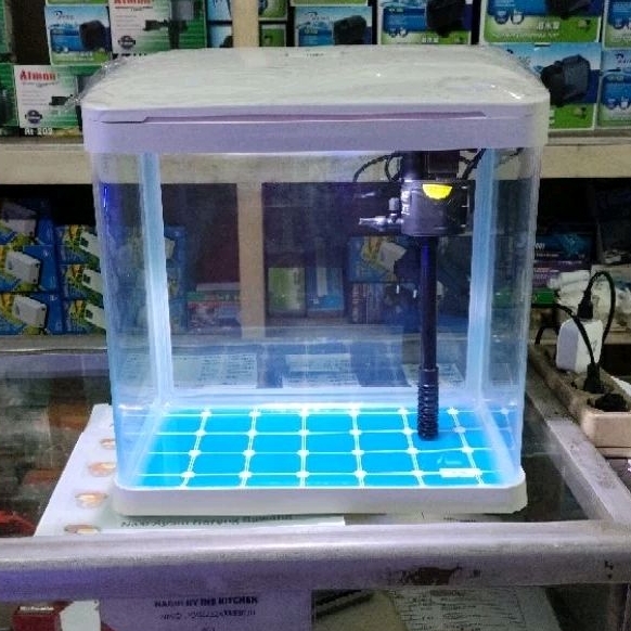 Jual Aquarium Full Set 30cm (incl Lampu & Filter) | Shopee Indonesia