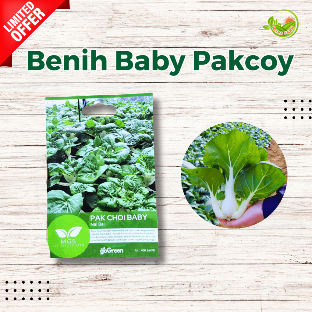 Jual Benih Pakcoy Nai Bai/Benih Pakcoy Baby/Benih Pakcoy Oriental Nai ...