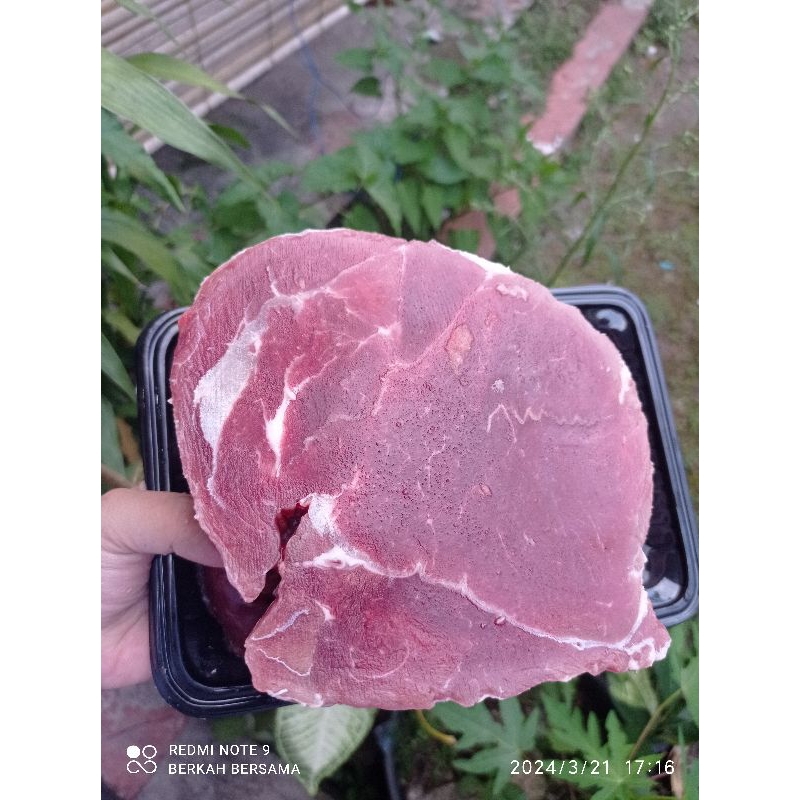 Jual Daging Sapi Paha Depan 1kg | Shopee Indonesia