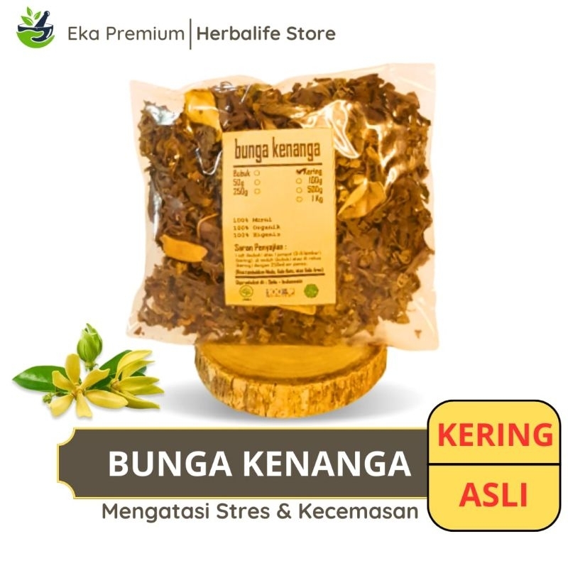 Jual BUNGA KENANGA KERING Kembang Ylang Ylang Asli Ramuan Rempah Herbal ...