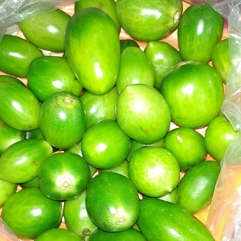 Jual Bahan Tomat Hijau IJO segar | Shopee Indonesia