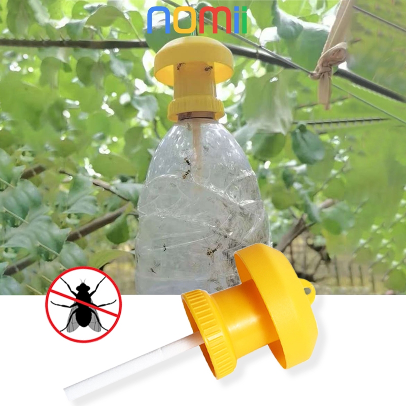 Jual 5PCS Fruit Fly Trap Killer Alat Perangkap Hama Serangga Lalat Buah ...