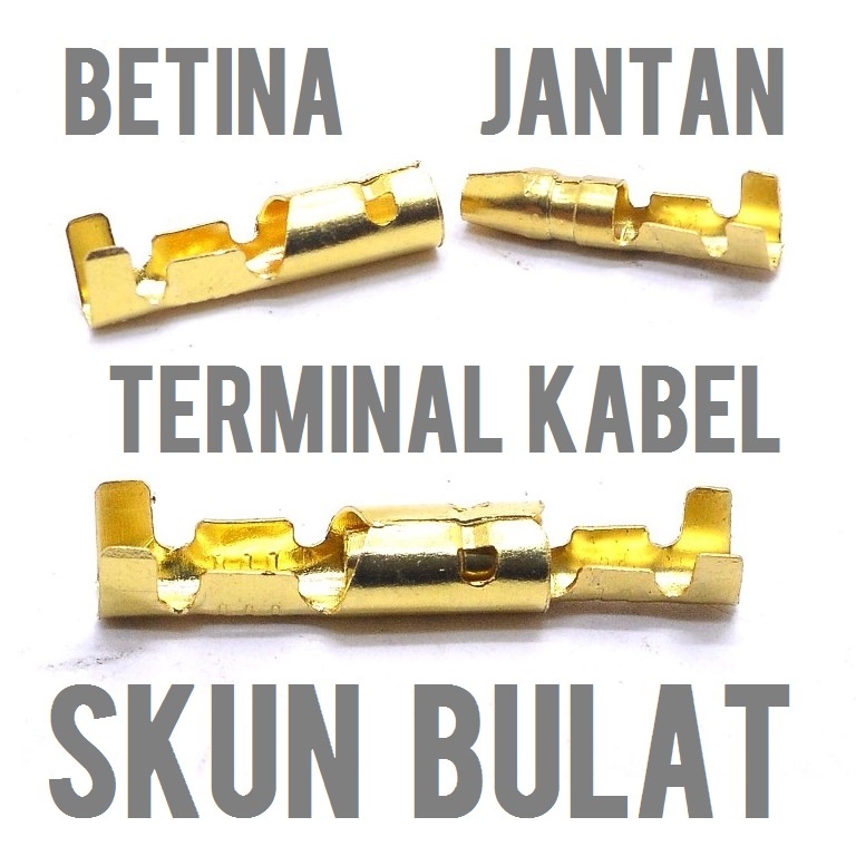 Jual SKUN TERMINAL bulat gepeng jantan betina male female cowok cewek ...