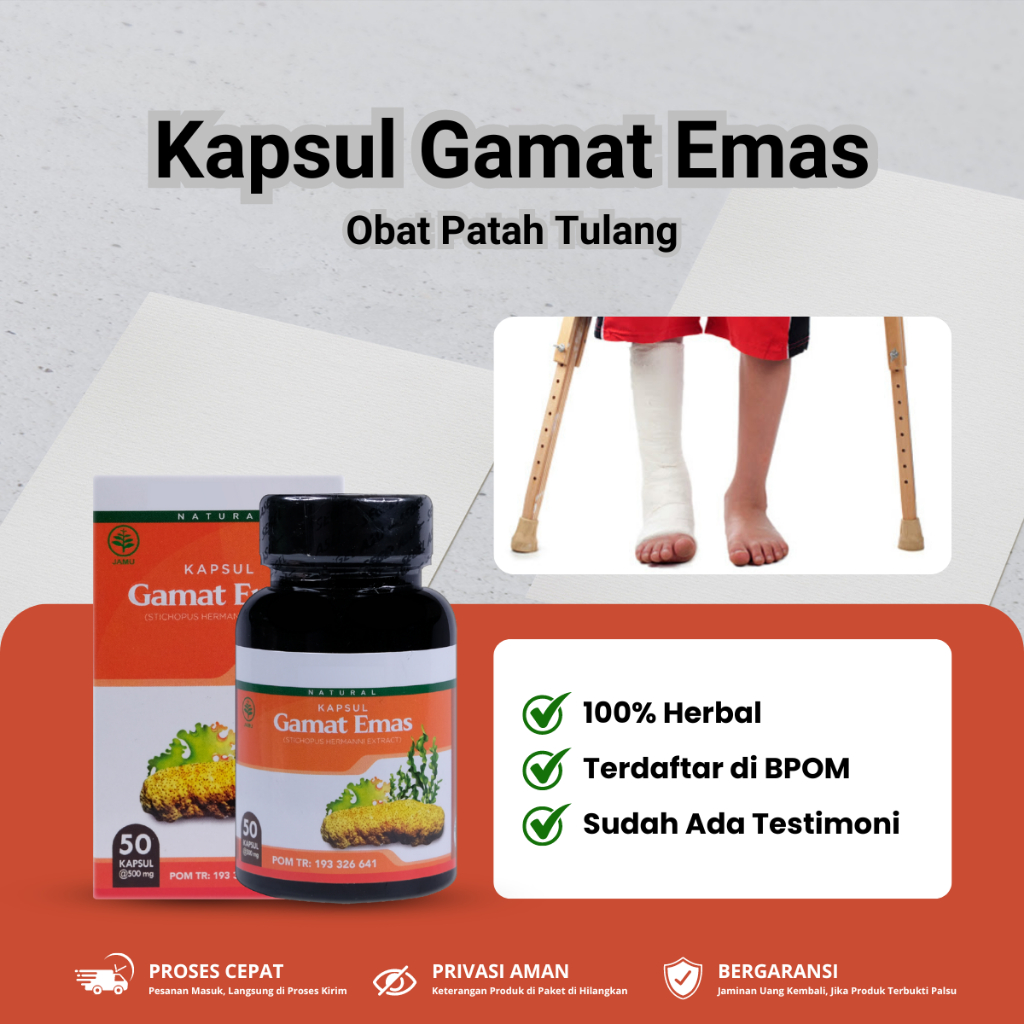 Jual Kapsul Gamat Emas - Obat Patah Tulang dan Retak, Obat Patah Tulang ...