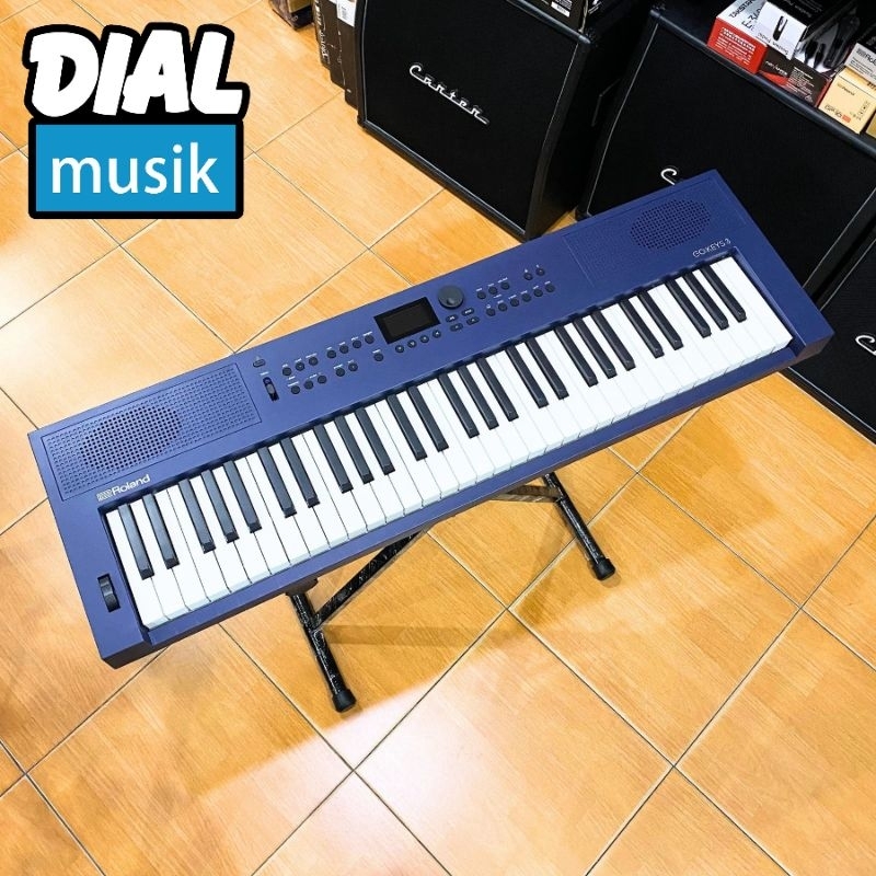 Jual Roland GO:KEYS 3 61-Key Arranger Keyboard in Midnight Blue ...