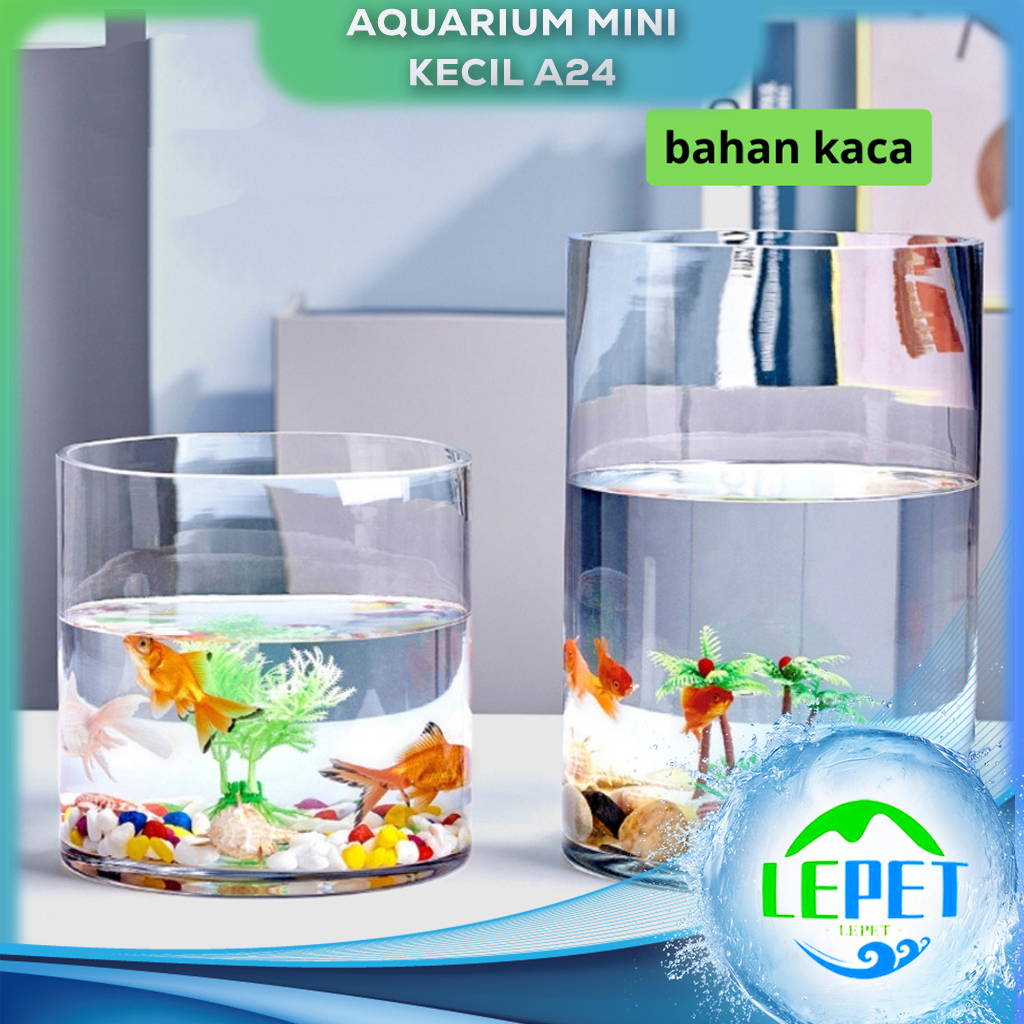 Jual LEPET AQUARIUM MINI KECIL A24 / AKUARIUM IKAN CUPANG HIAS | Shopee ...