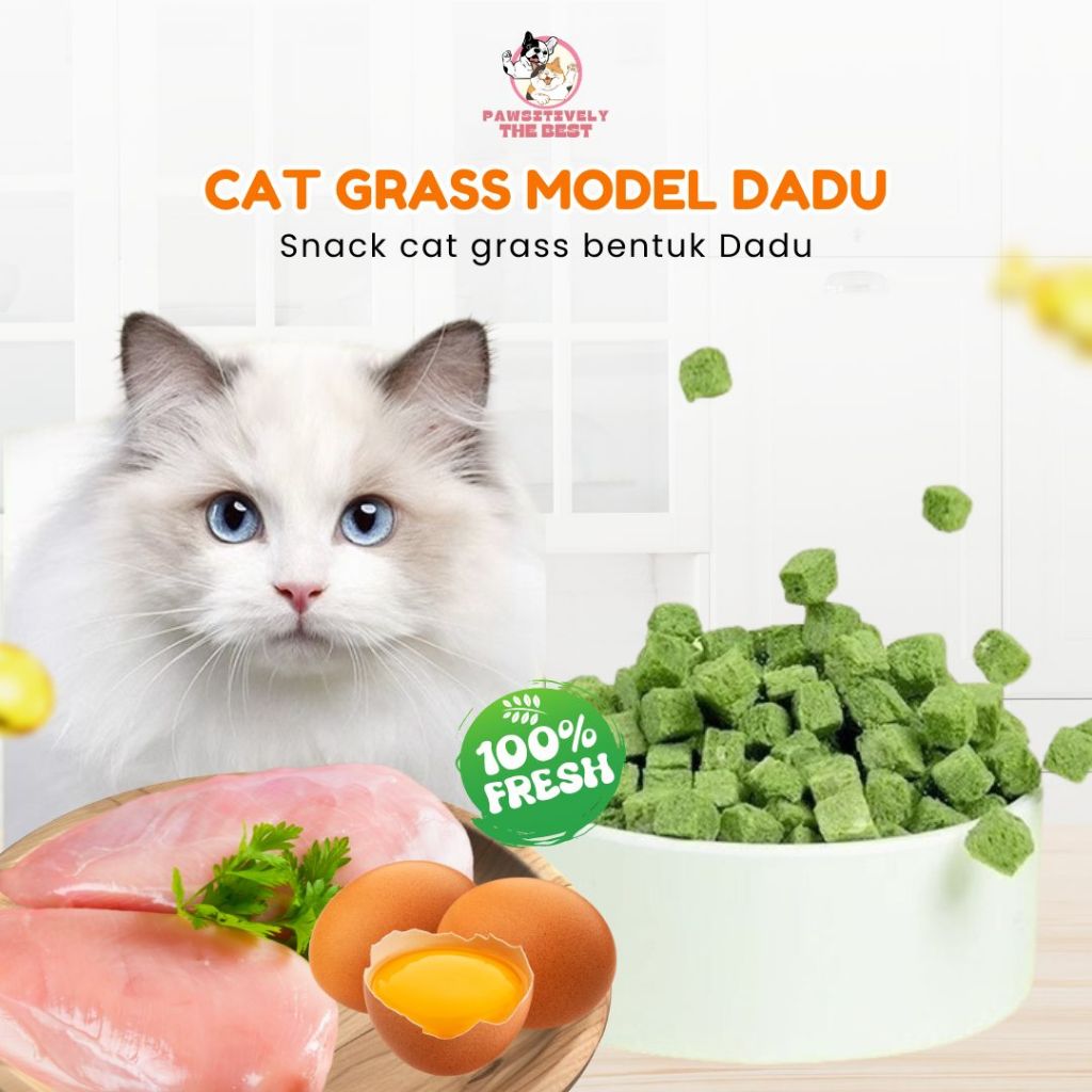 Jual Cat Grass Stick - Snack Rumput Kucing - Cat Grass Premium Grass ...