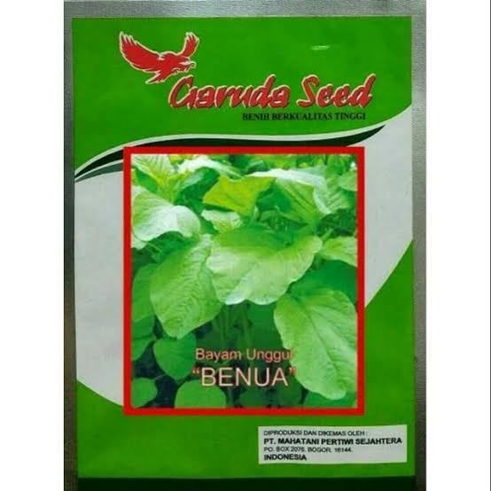 Jual Bayam Benua 50 GR Kemasan Asli Pabrik Bibit Sayur Bayam Hijau ...