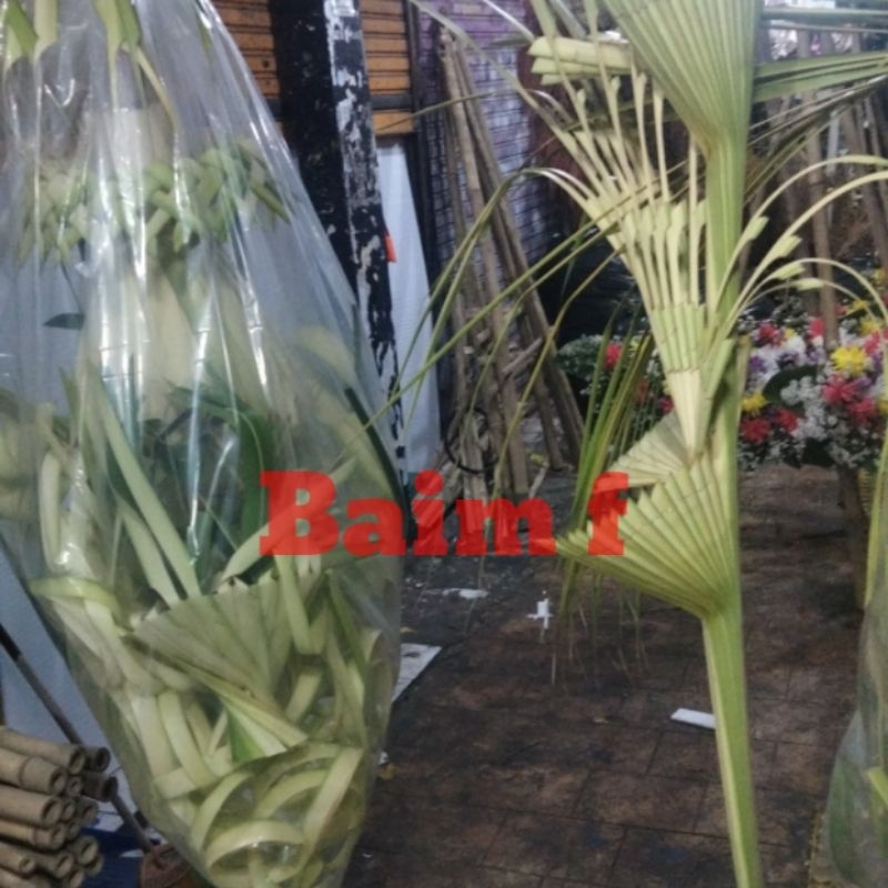 Jual janur pernikahan satu paket (janur besar 1 & janur kecil 1)free ...
