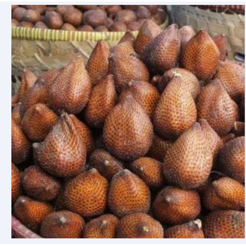 Jual BUAH SALAK PONDOH | Shopee Indonesia
