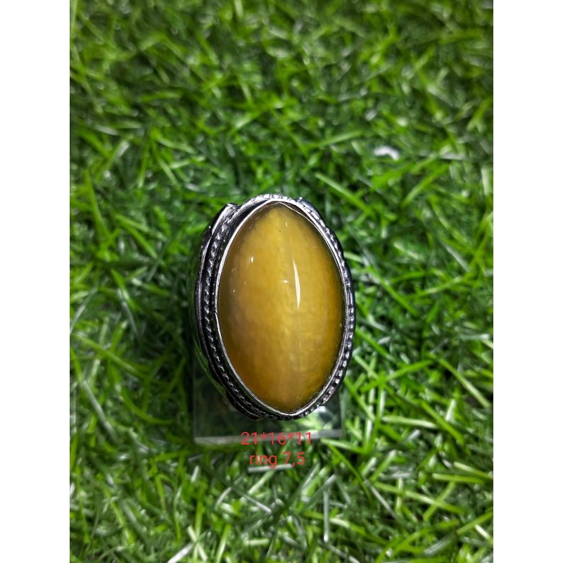 Jual pandan|akik pandan|pandan size kantoran|pandan sisik betik|pndan ...